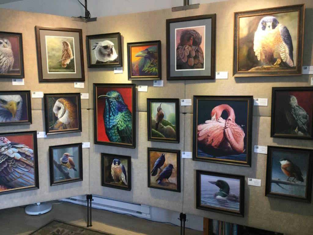 Art Tour - Kim Middleton's Bird Paintings - Life on Orcas Island