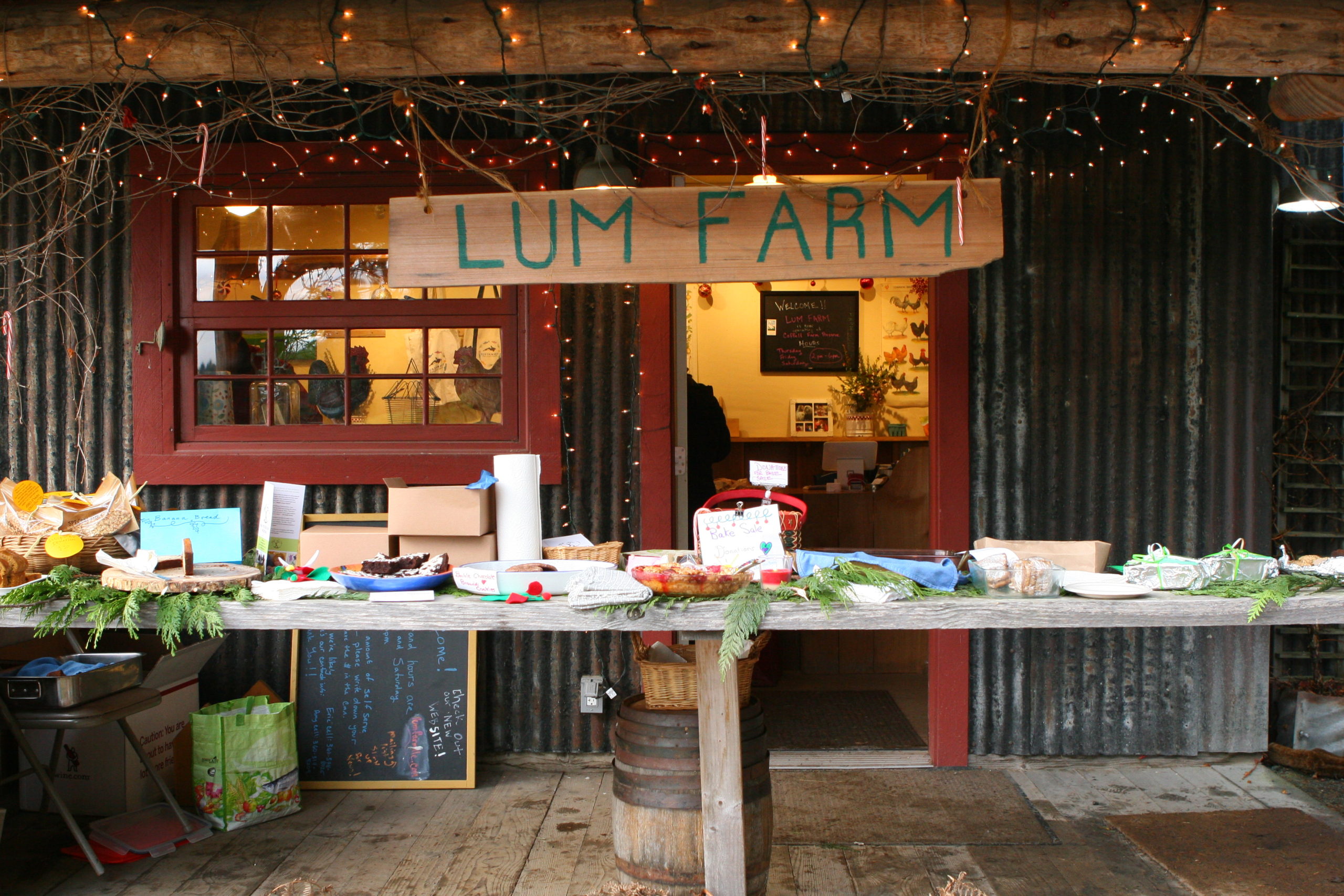 Winter Festival at Lum Farm - Life on Orcas Island