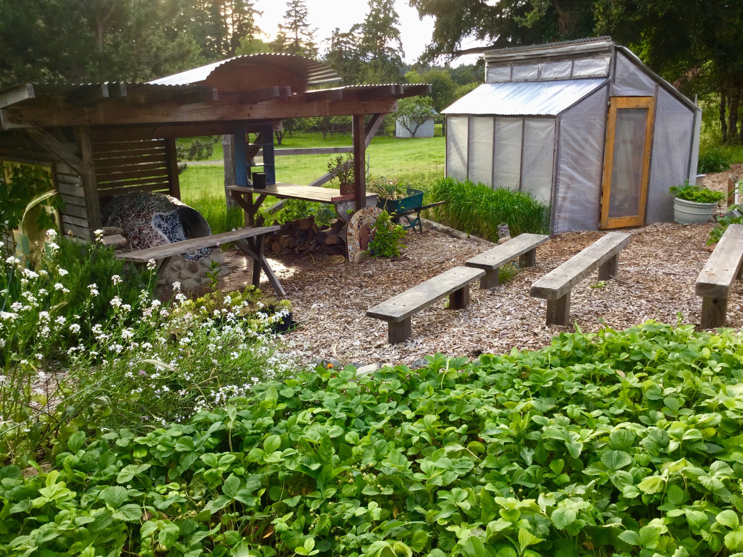 Meet Colleen Stewart - Life on Orcas Island