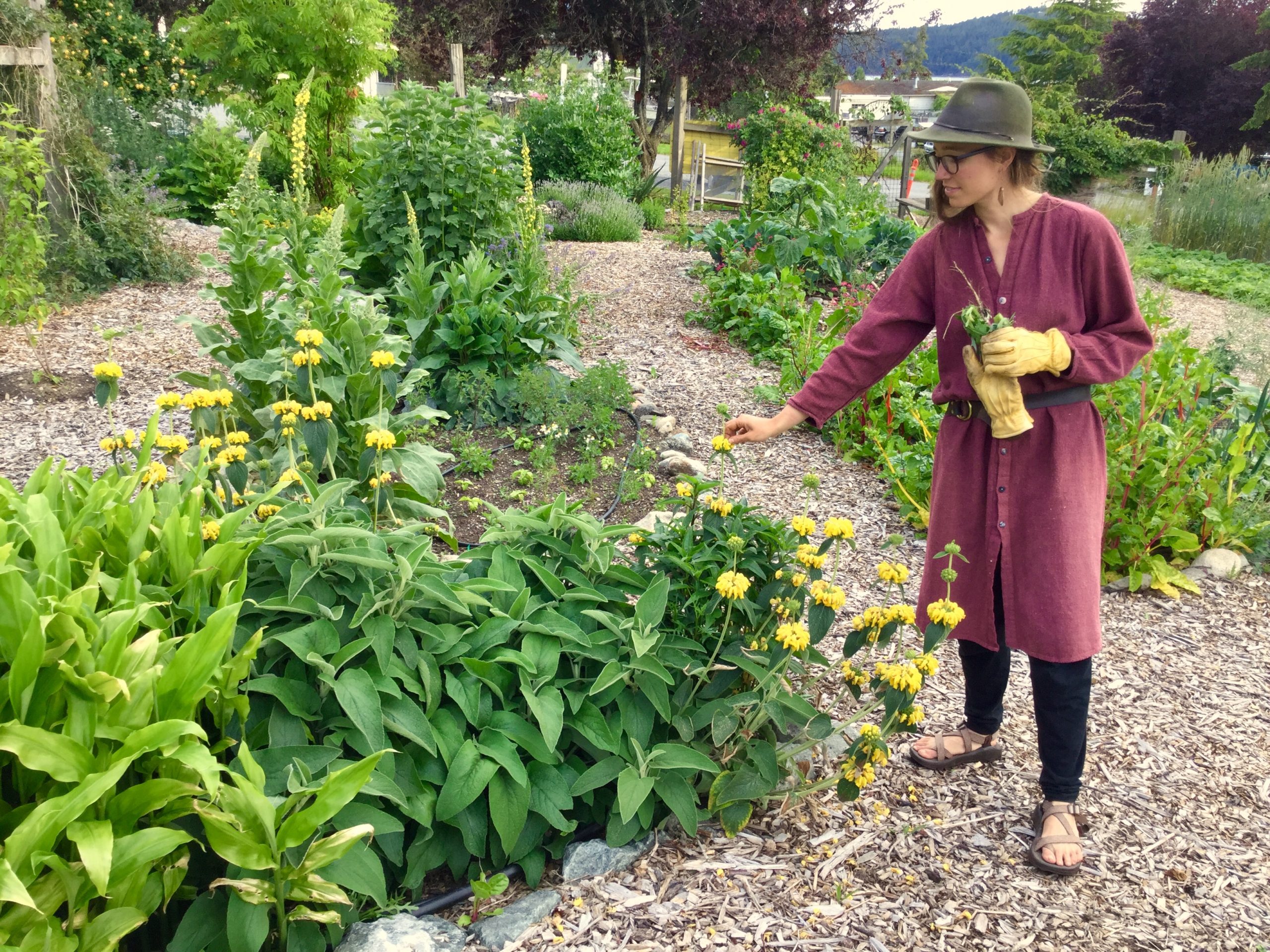 Please Consider Helping Colleen Stewart - Life on Orcas Island
