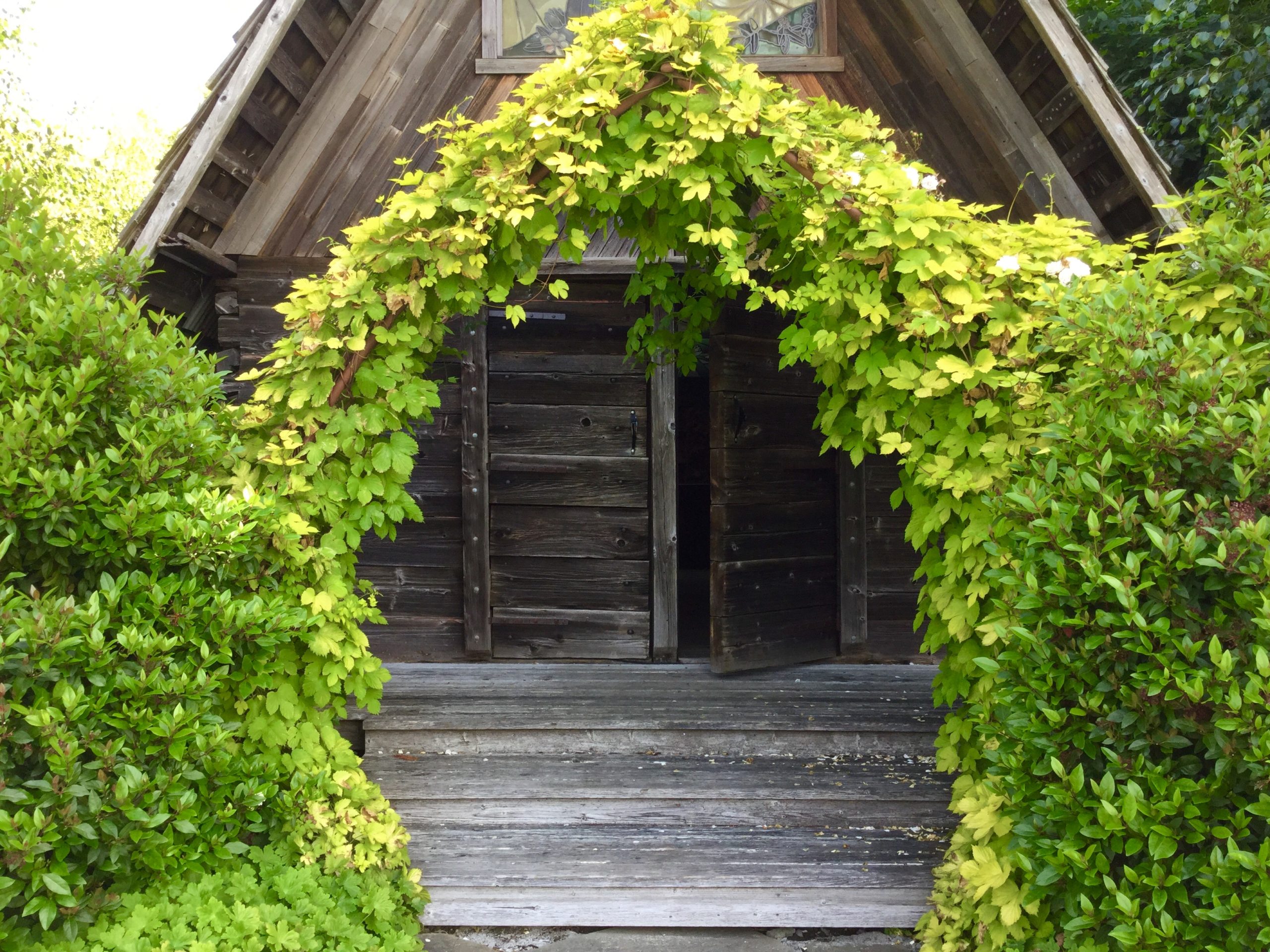 Beautiful Little Alcoves - Life on Orcas Island