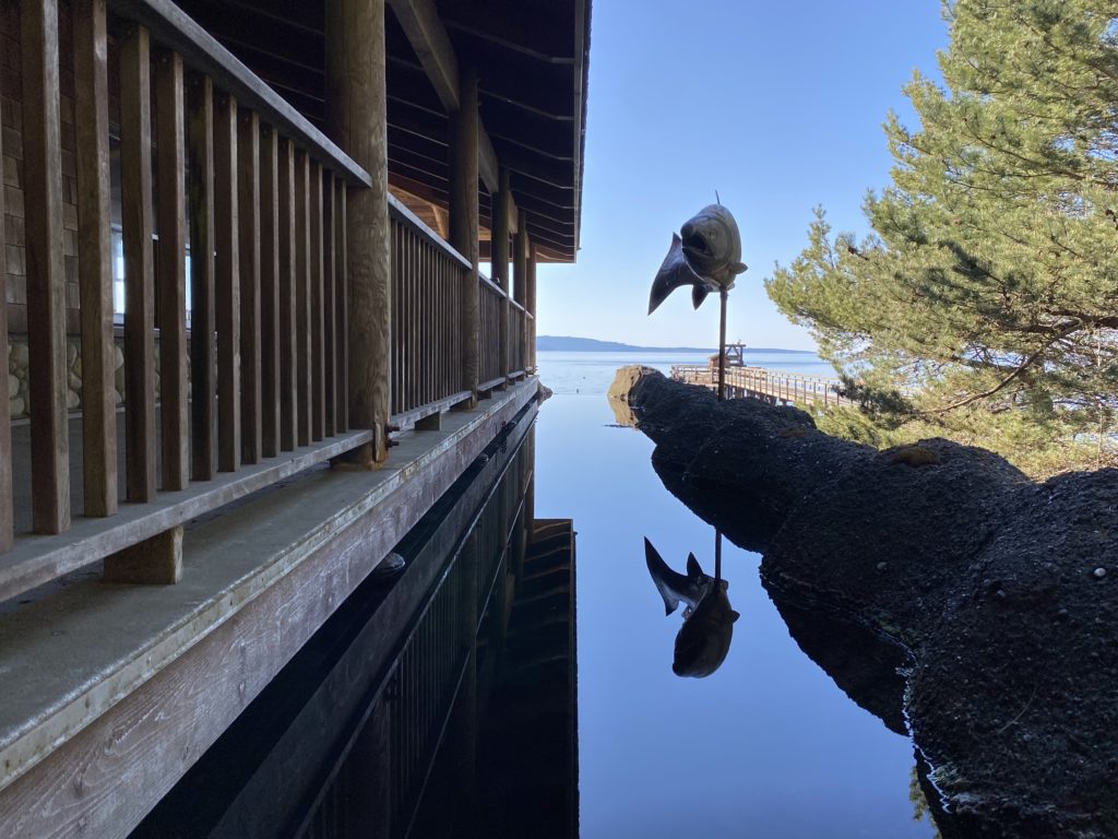 The Beauty of Orkila - Life on Orcas Island