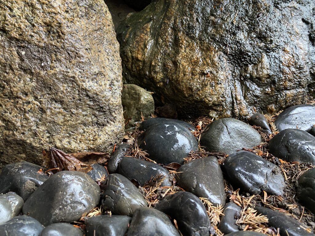 The Realities of Rain Here - Life on Orcas Island