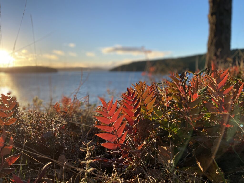 Stroll Through the Seasons With Me - Life on Orcas Island